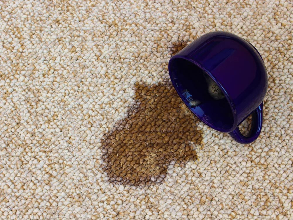 Carpet Stain Removal Masterton | Carpet Steam Cleaning & Drying